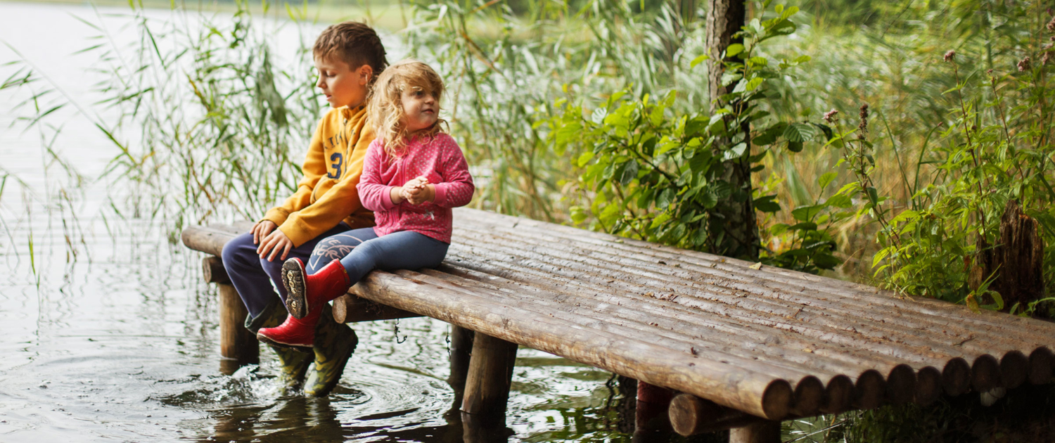 Welcome | Dragonfly Lake Cabins