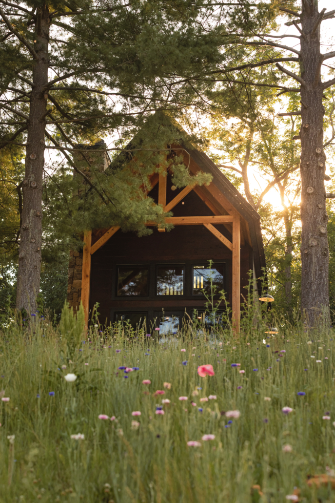 Welcome | Dragonfly Lake Cabins