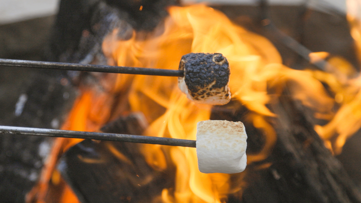 Gallery | Dragonfly Lake Cabins