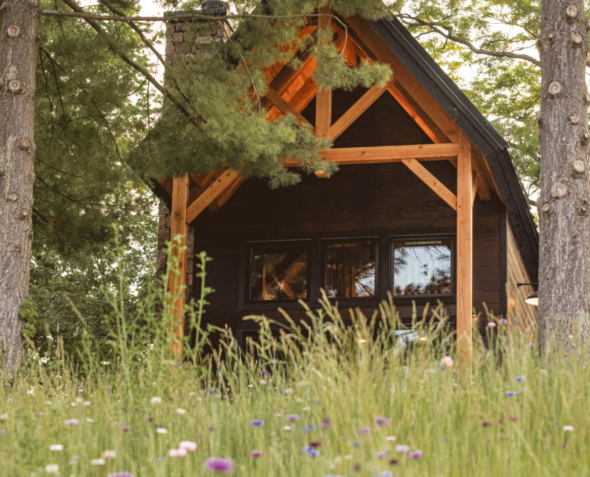 Cabins | Dragonfly Lake Cabins
